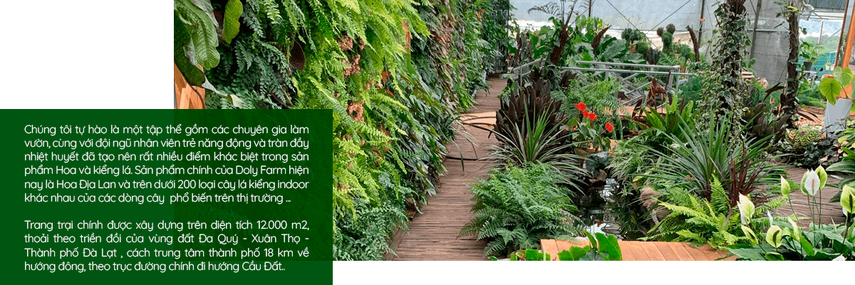 CÂU CHUYỆN DOLY FARM